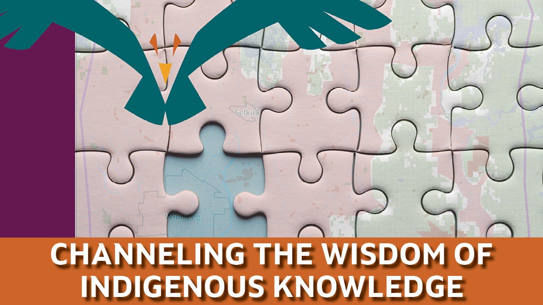 Filling in the Blanks: How to Show Cumulative Effects in Indigenous Knowledge Studies